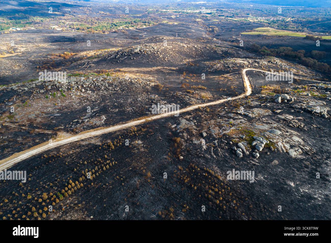 The tragic aftermath of a forest fire in the mountains of Spain ...