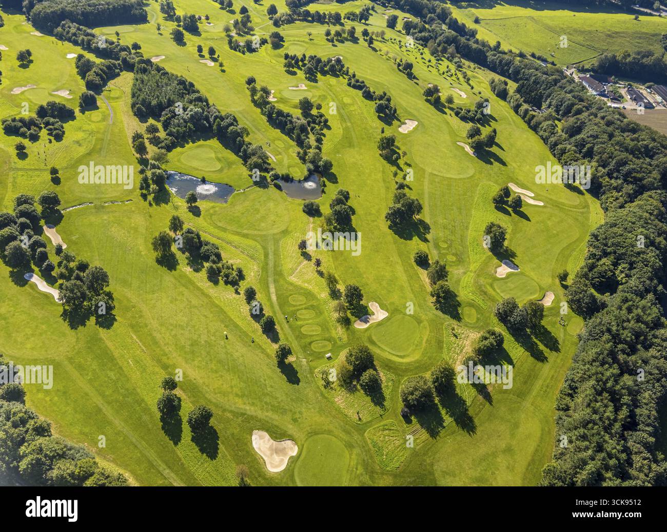 Aerial view, golf course and golf meadow Golfclub Velbert Gut ...