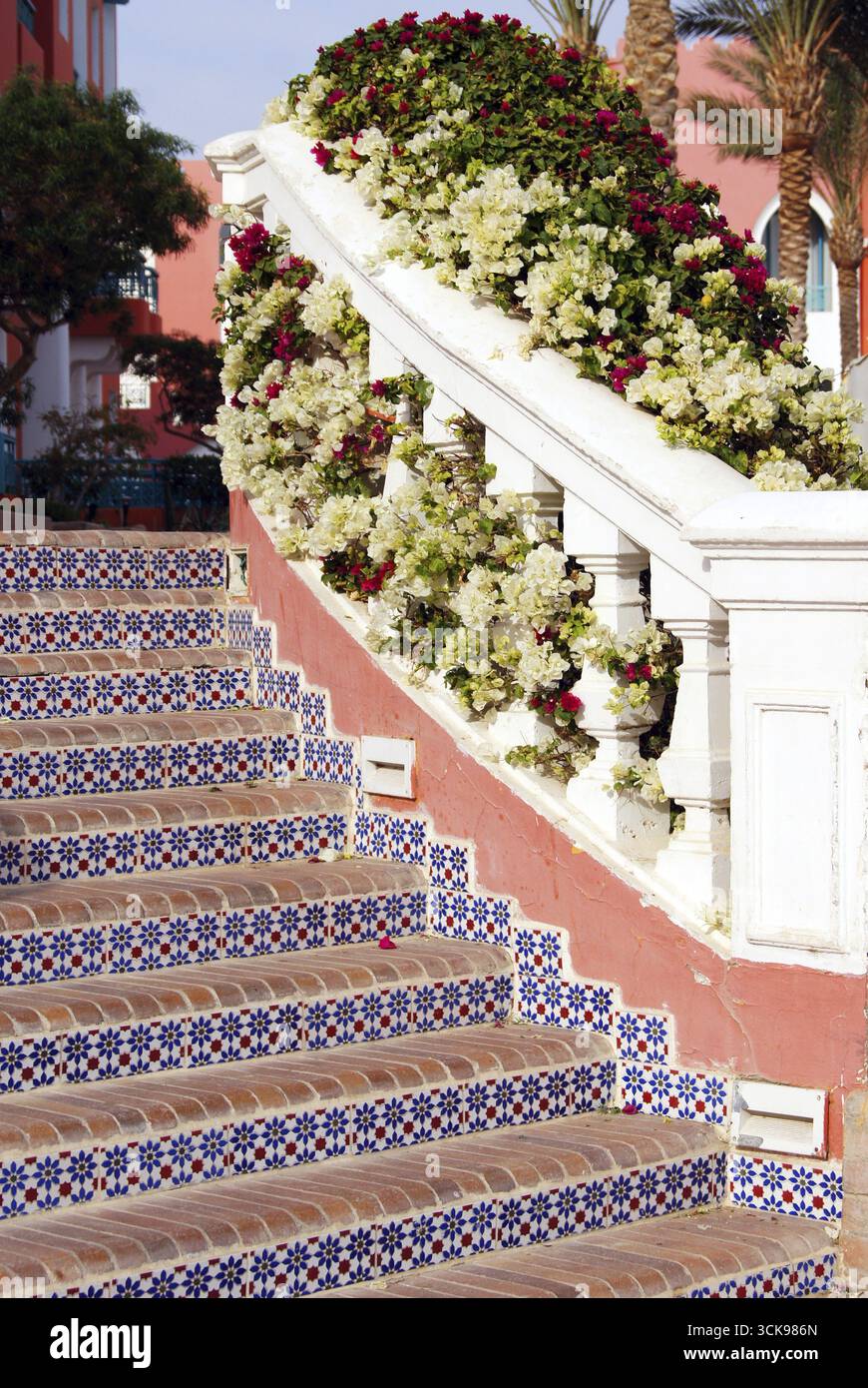 Traditional arabic architecture surrounding exotic plants Stock Photo ...