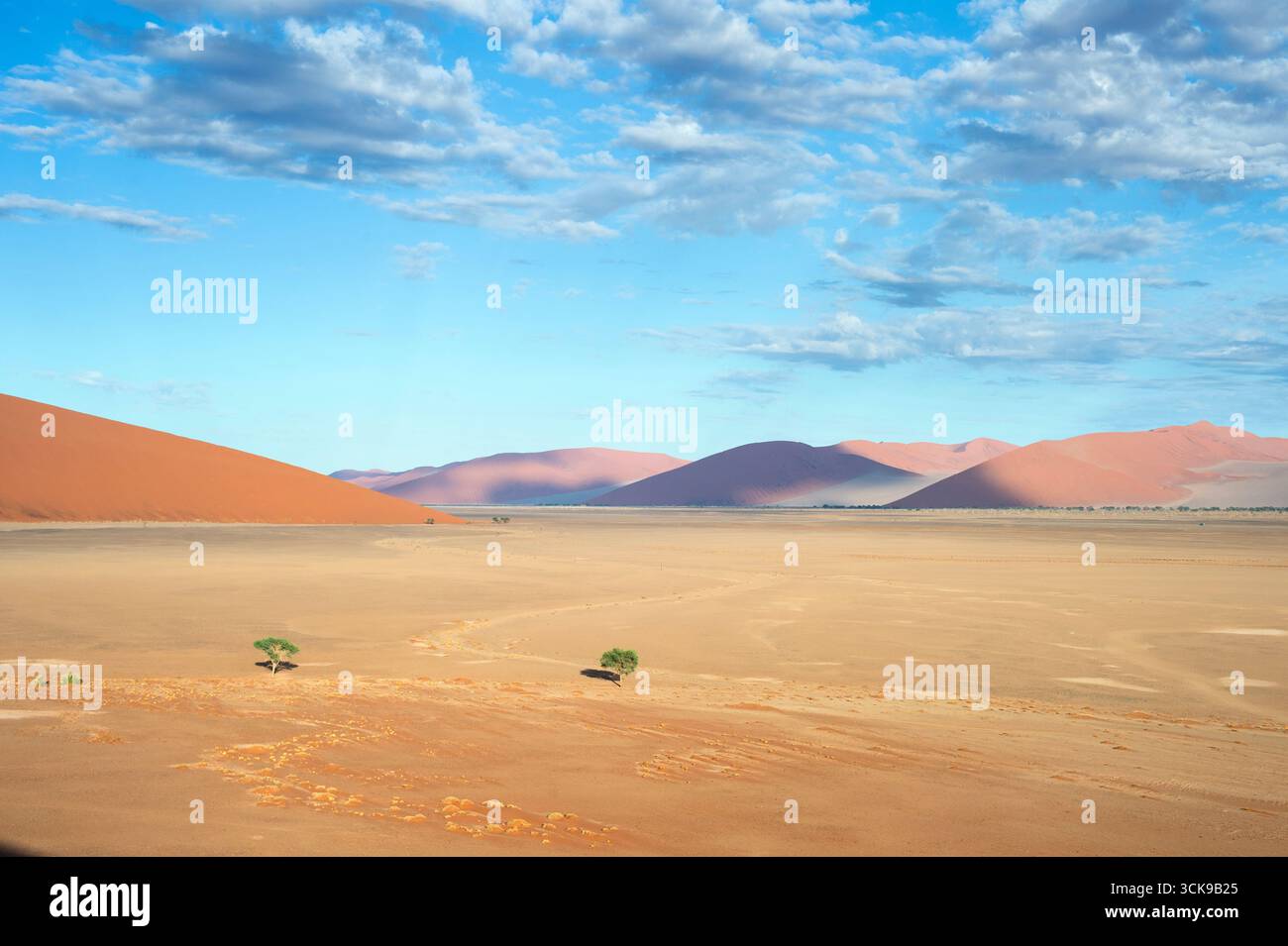 Namibian landscape with desert, trees and sand dunes. Aerial view ...