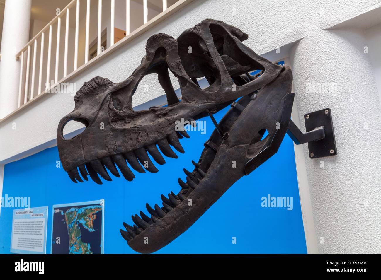 A large dinosaur skull with sharp teeth is mounted on a wall in a ...