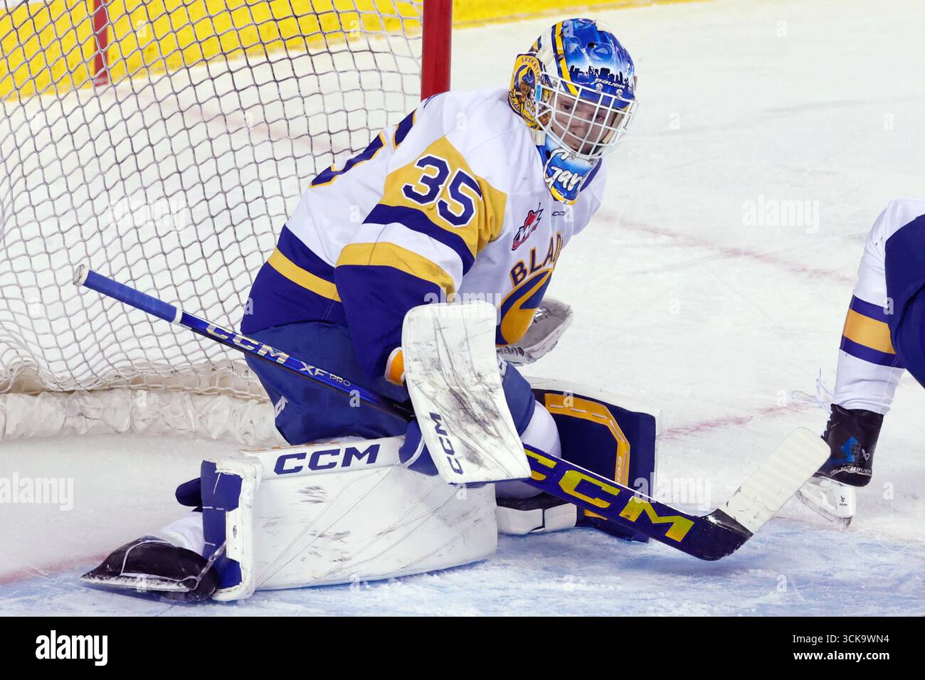 Profile photo on Saskatoon Blades goalie Evan Gardner during WHL ...