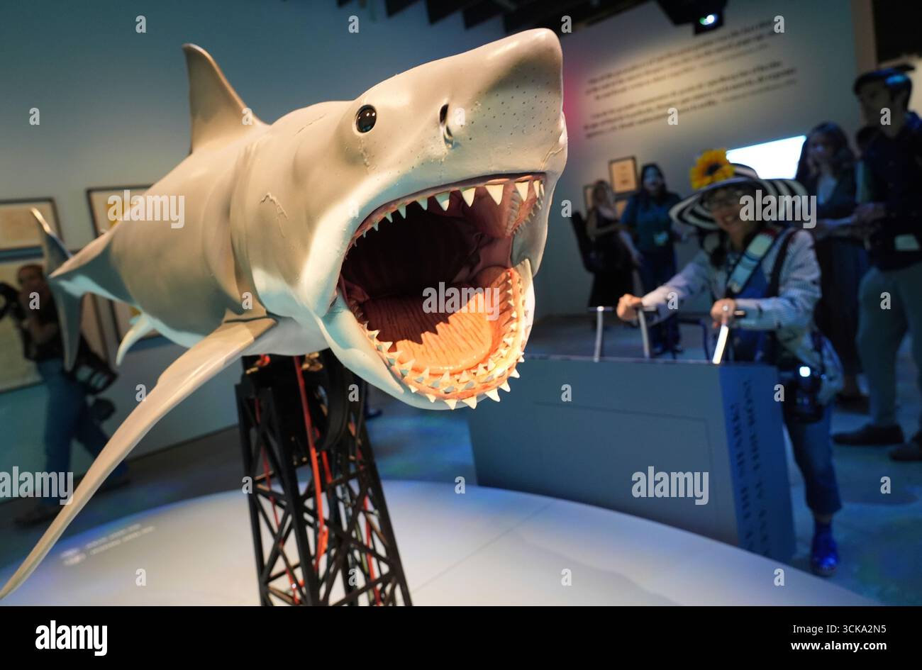 An interactive scale replica based on the shark from the 1975 film ...