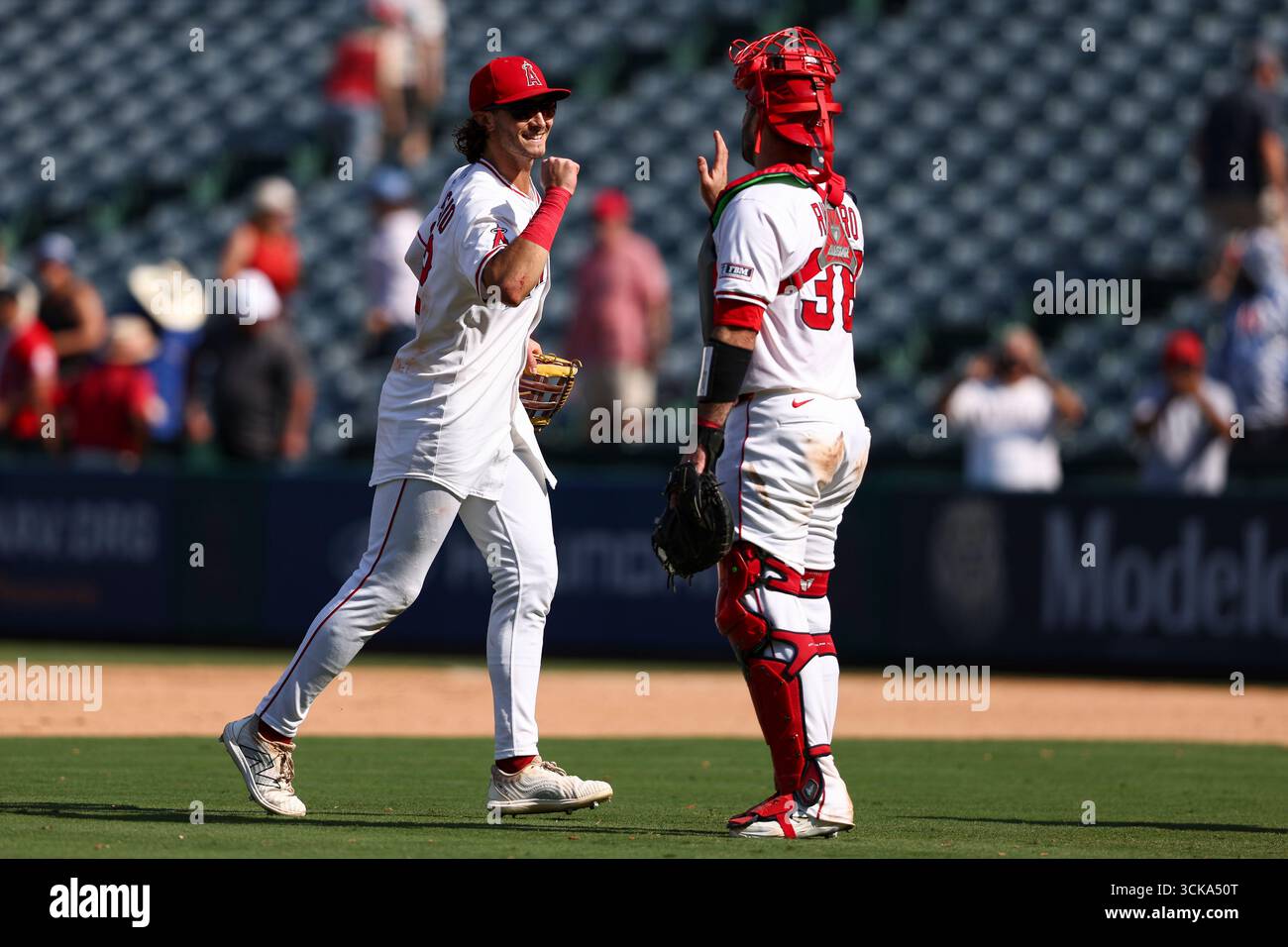 Los Angeles Angels' Bryce Teodosio, left, celebrates with catcher ...