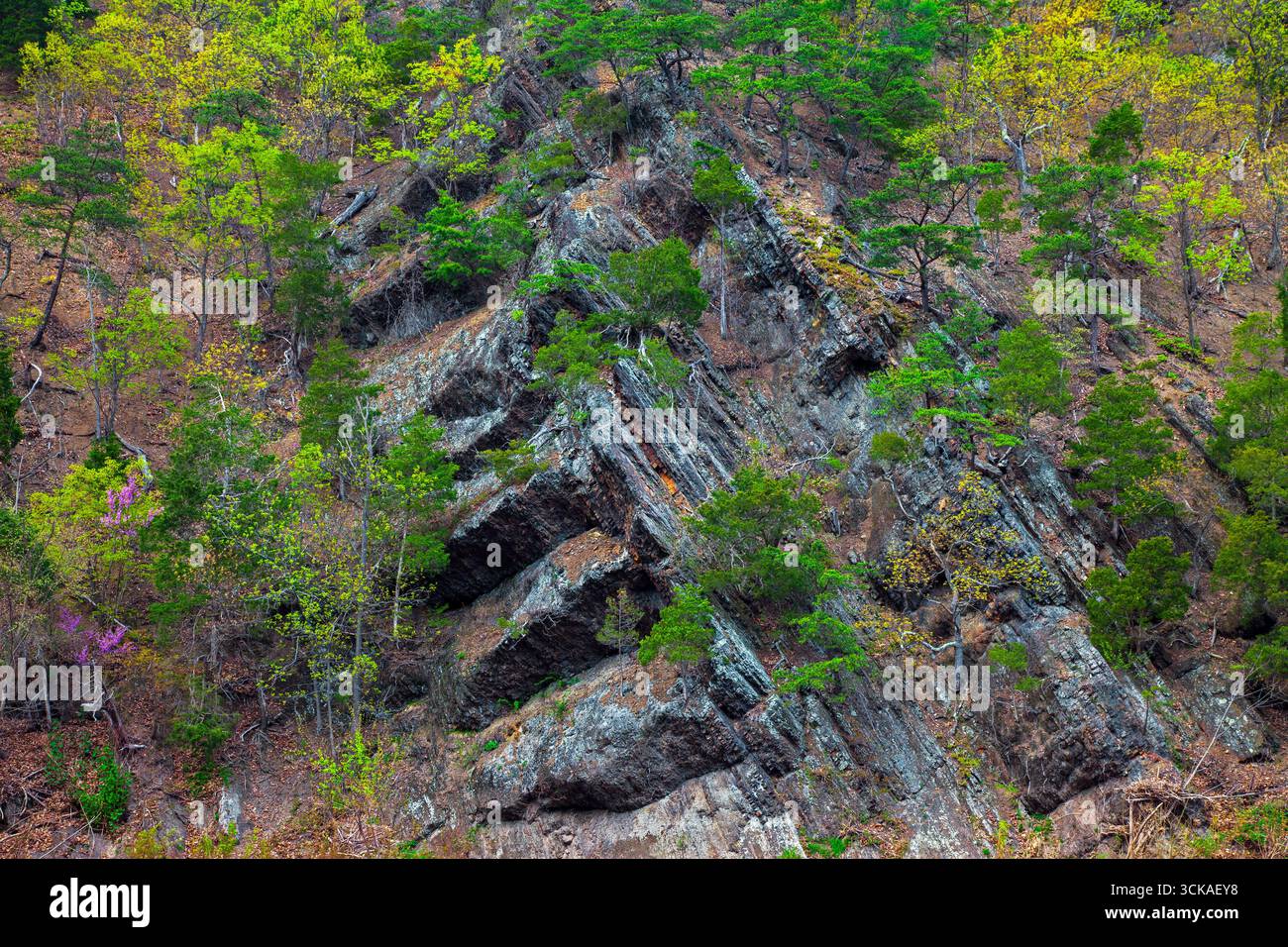 Folded shale hi-res stock photography and images - Alamy