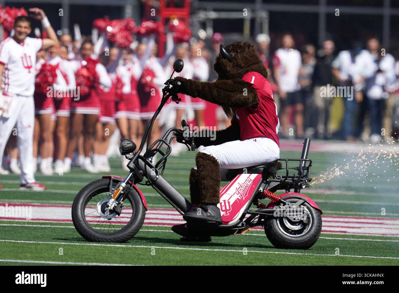 Hoosier the Bison in action before an NCAA college football game ...