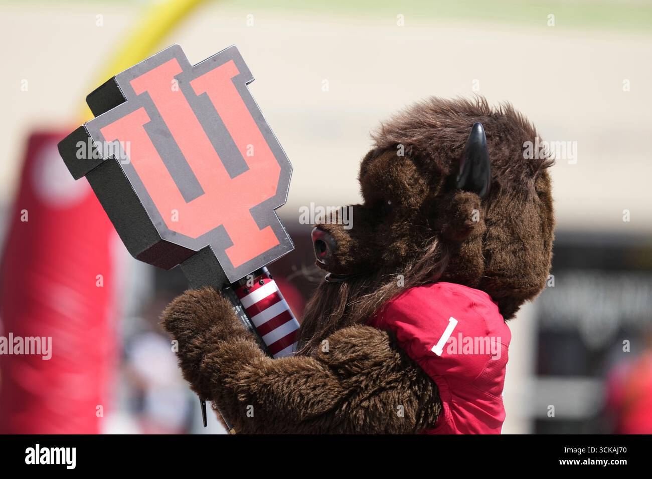 Hoosier the Bison in action during the second half of an NCAA college ...