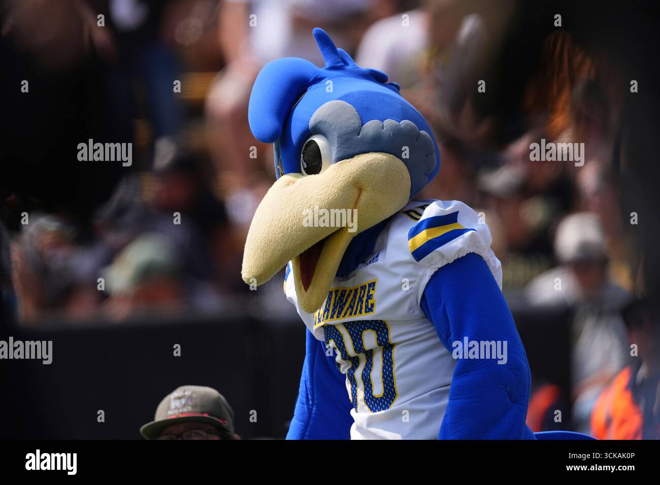 YoUDee, the mascot of the Delaware Blue Hens, performs in the first ...