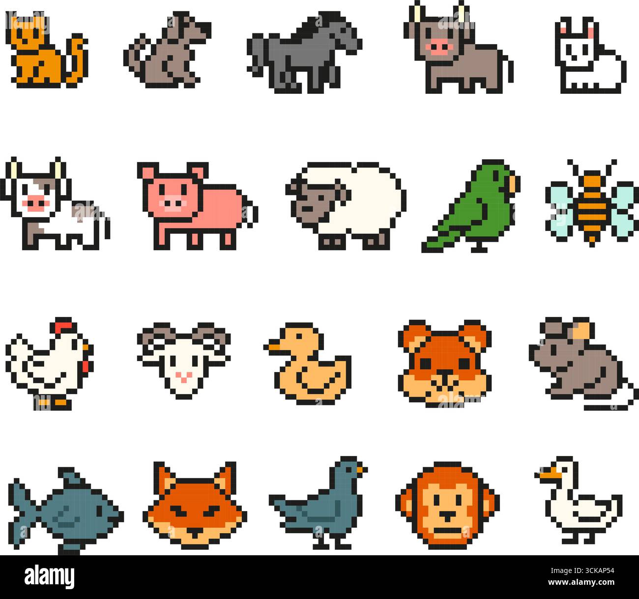 Domestic rabbit video Cut Out Stock Images & Pictures - Alamy