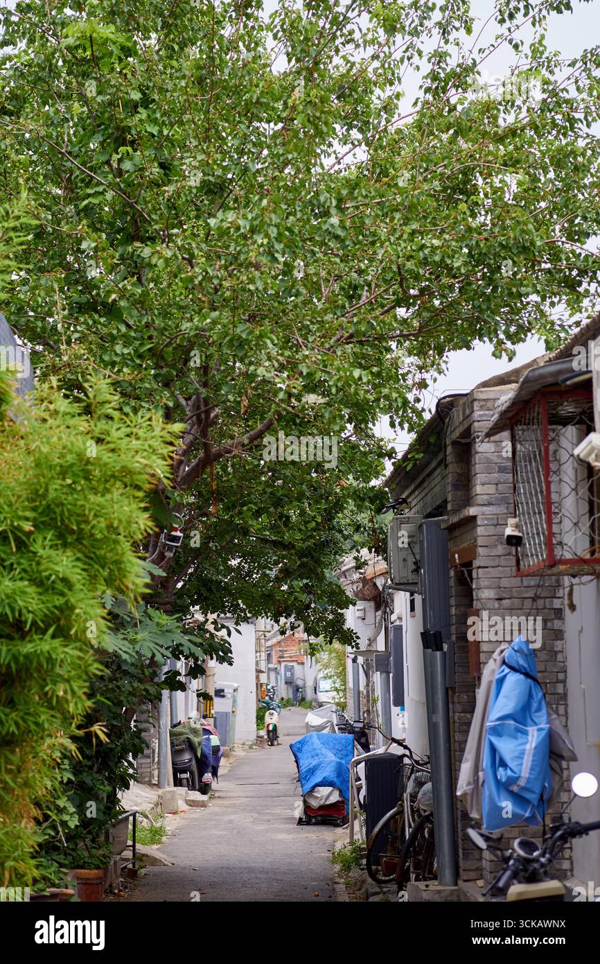 Quiet side alley of Wudaoying Hutong beside the Lama Temple Stock Photo ...