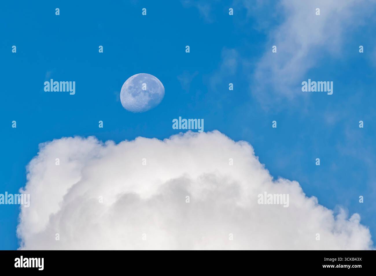 Full moon captured during hi-res stock photography and images - Alamy