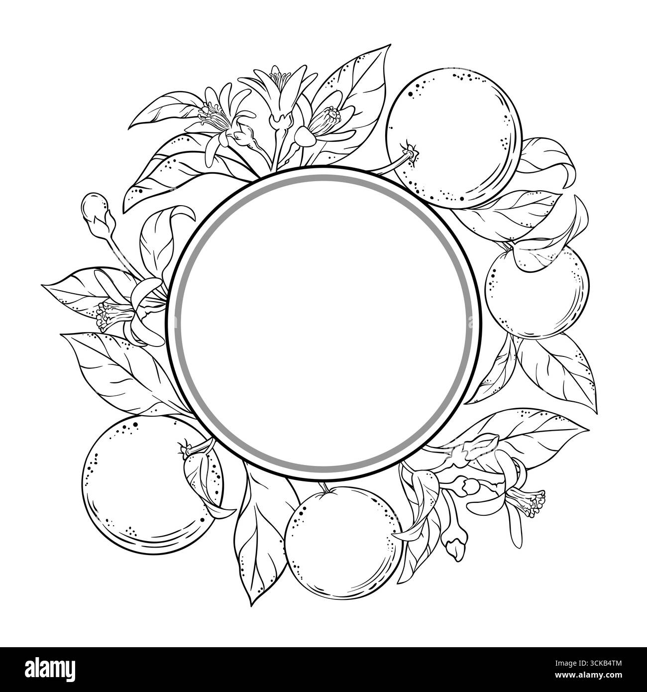 Space orange Black and White Stock Photos & Images - Alamy