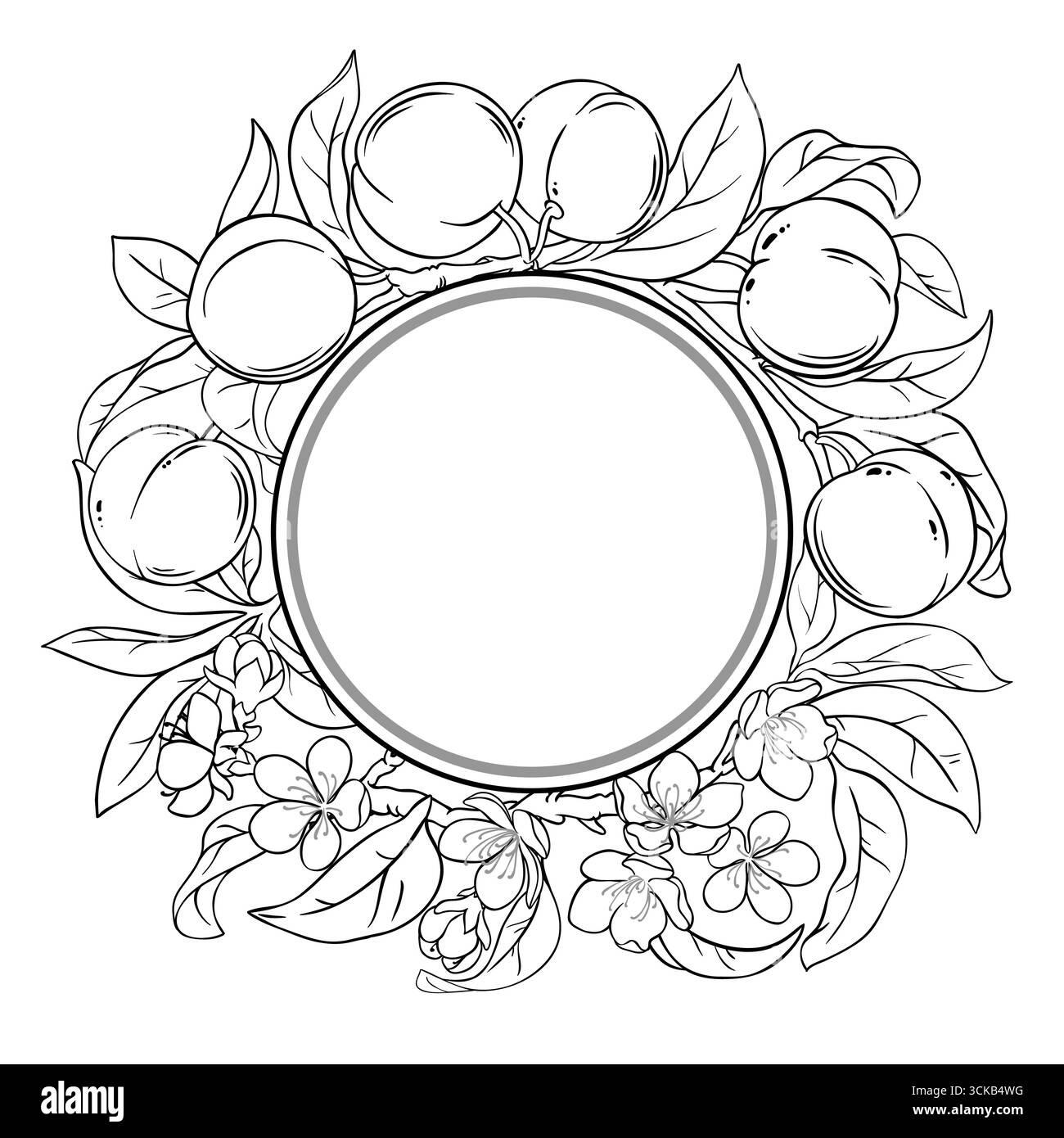 Whole circle line Black and White Stock Photos & Images - Alamy