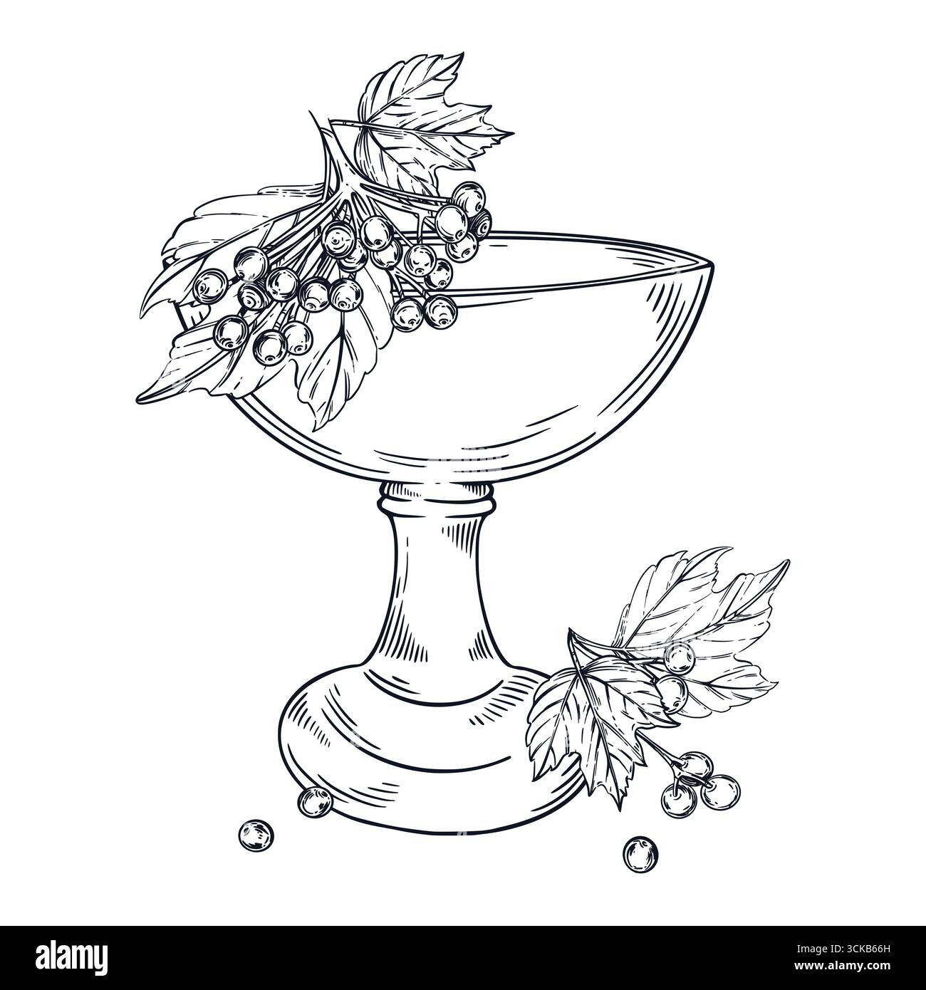 Homemade jam berries on Stock Vector Images - Alamy