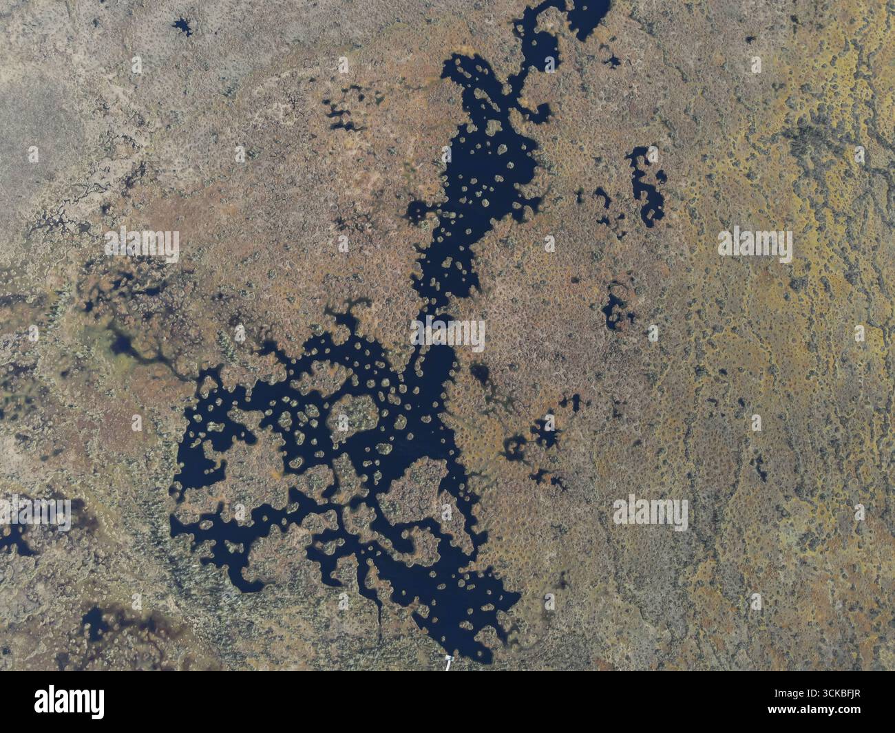 Aerial image of Yelnya Nature Reserve in Belarus, showing dark blue ...