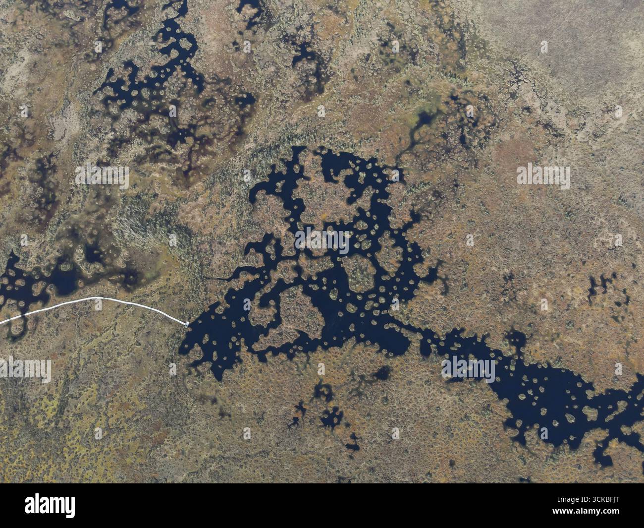 Aerial image of Yelnya Nature Reserve in Belarus, showing dark blue ...