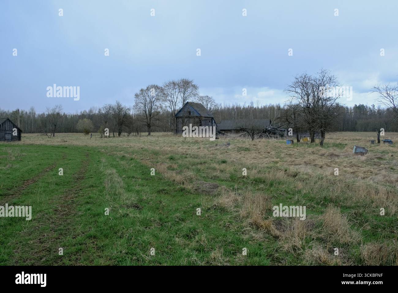 Open field trees structures hi-res stock photography and images - Alamy