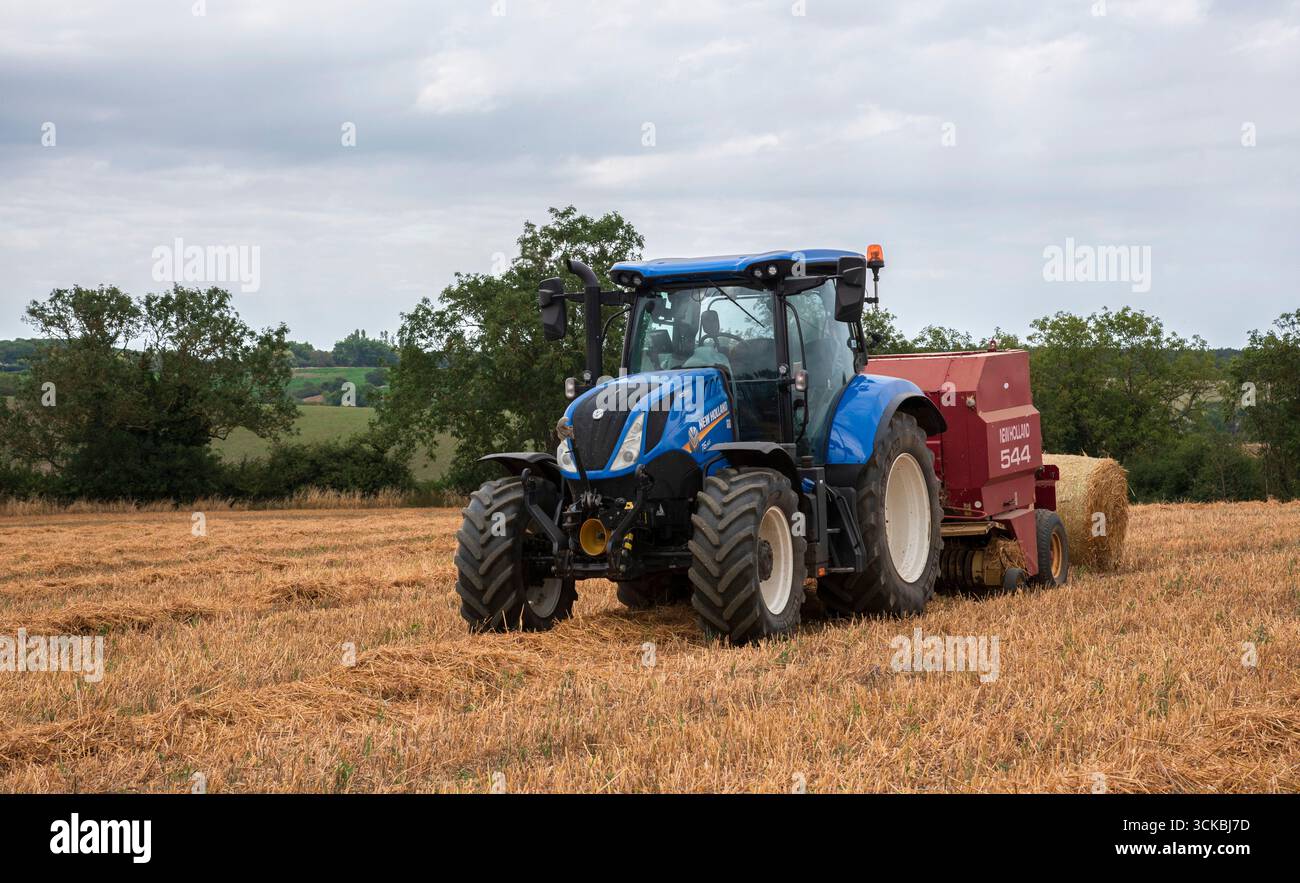 Farming of straw harvest tractor and round baler in field of golden ...
