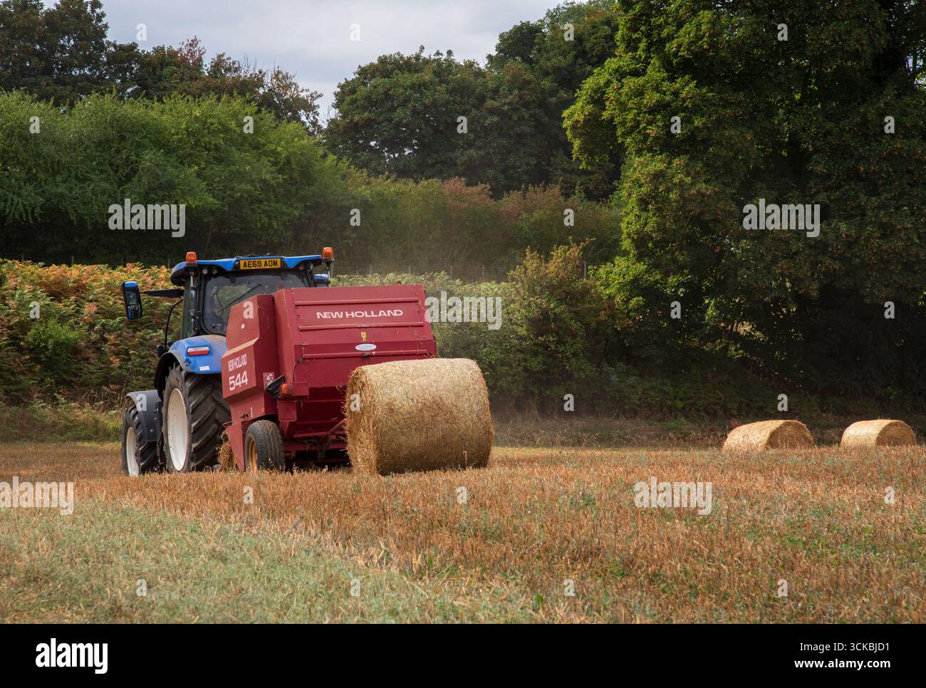 Farming of straw harvest tractor and round baler in field of golden ...