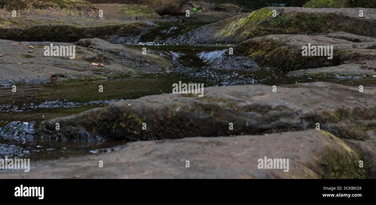 Close up waterfall forest stones hi-res stock photography and images ...