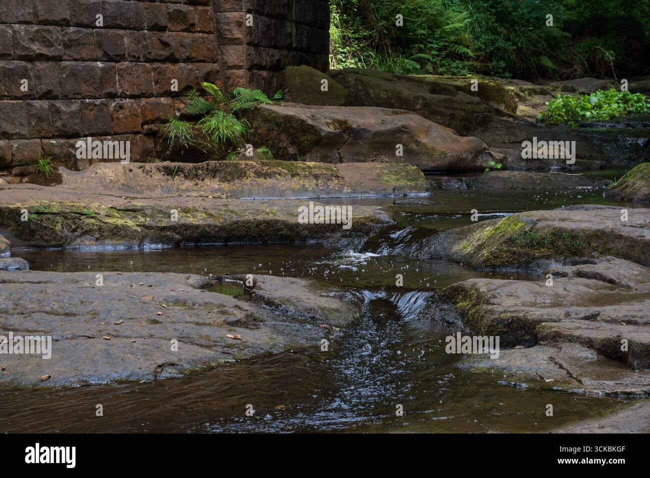 Close up waterfall forest stones hi-res stock photography and images ...