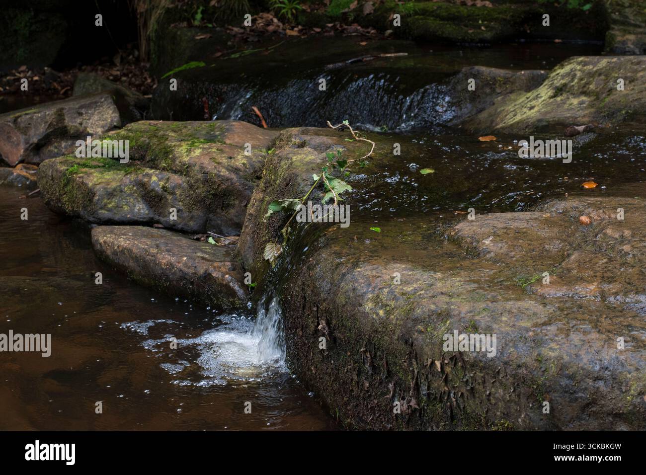 Close up waterfall forest stones hi-res stock photography and images ...