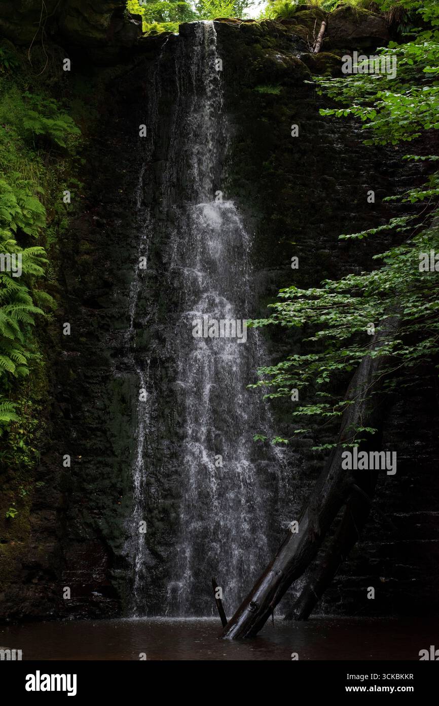 Falling foss woods hi-res stock photography and images - Alamy