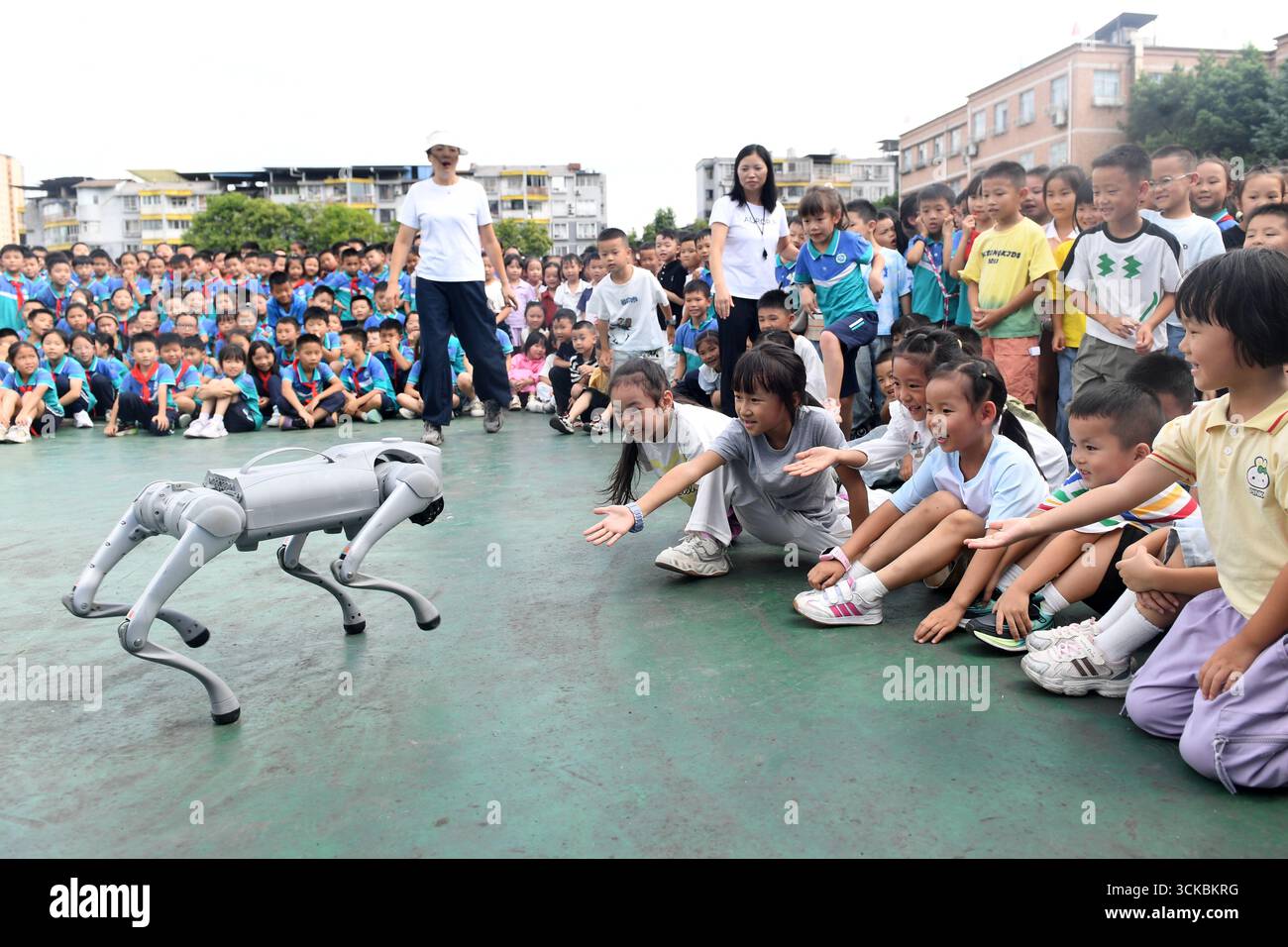 Elementary School Students Interacting with Robot Dogs, Renhuai City ...
