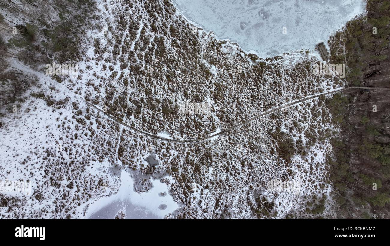 Aerial view wetland scattered trees hi-res stock photography and images ...