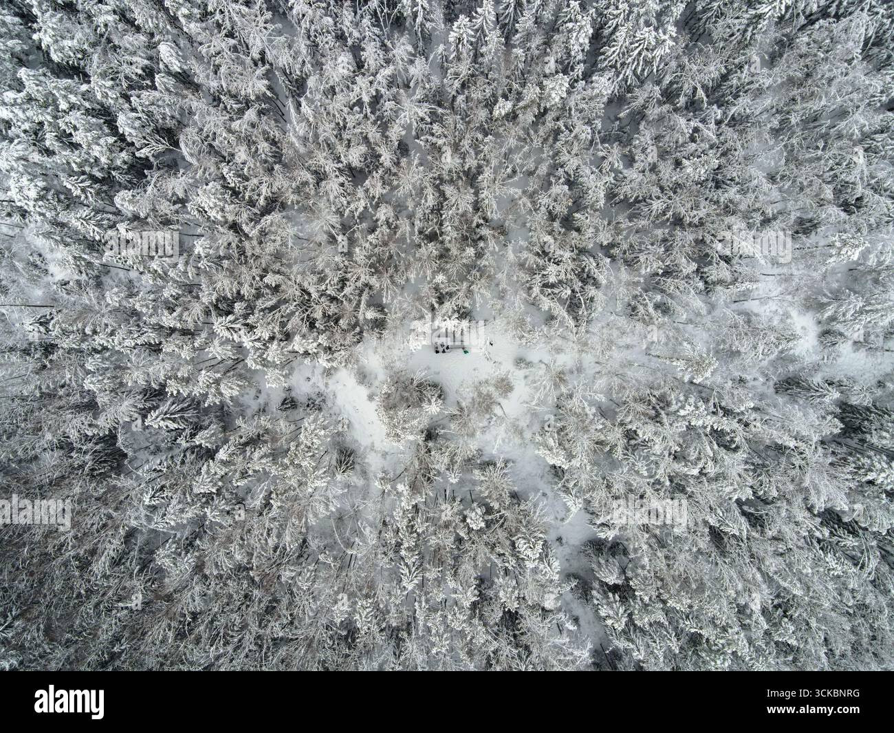 Habitat traces hi-res stock photography and images - Alamy