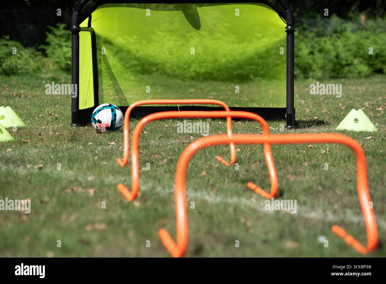 Mastery goals hi-res stock photography and images - Alamy