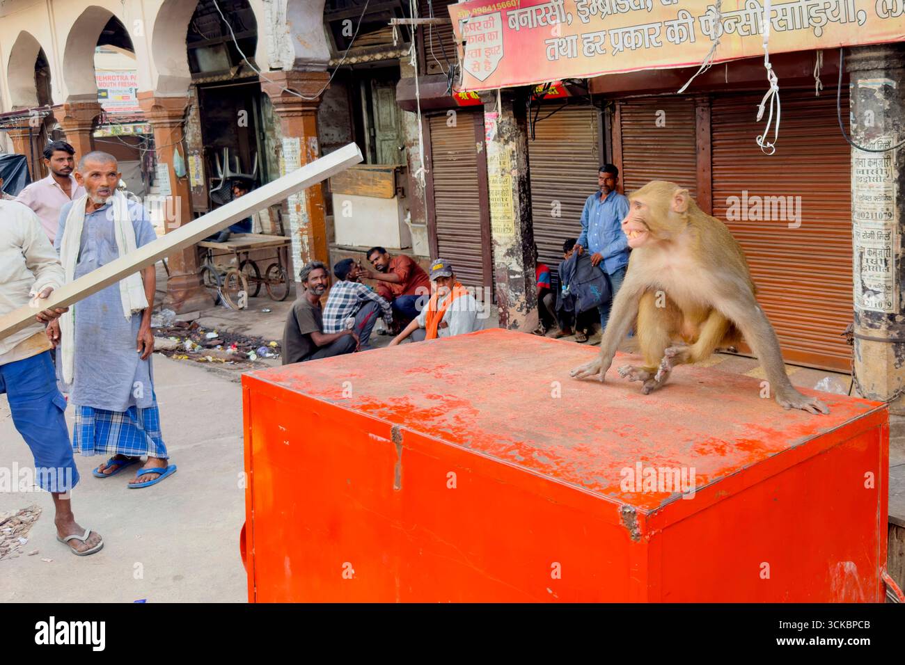 A man tries to drive away a monkey from a market early morning in ...