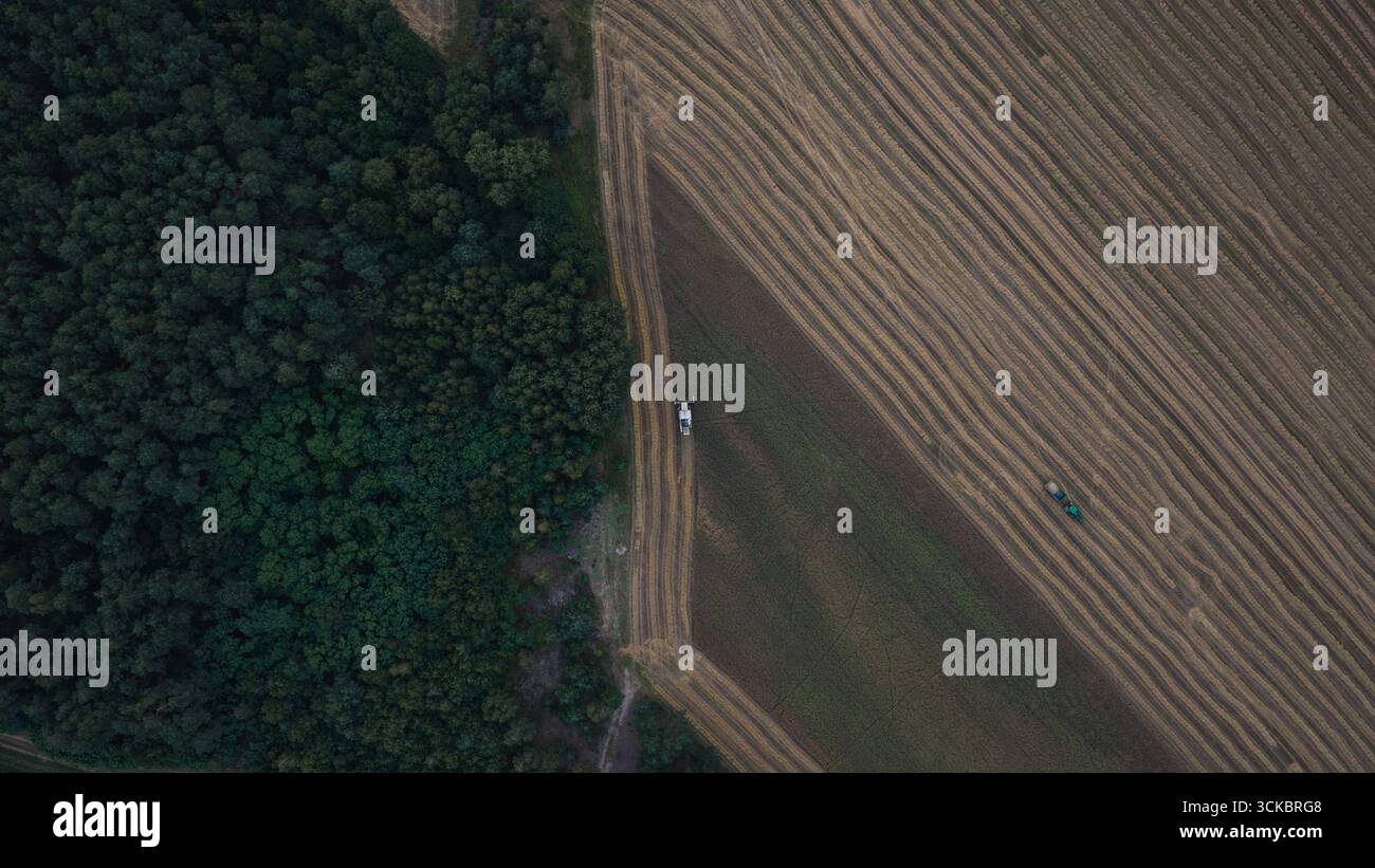 Aerial image showing a dense green forest beside a striped agricultural ...