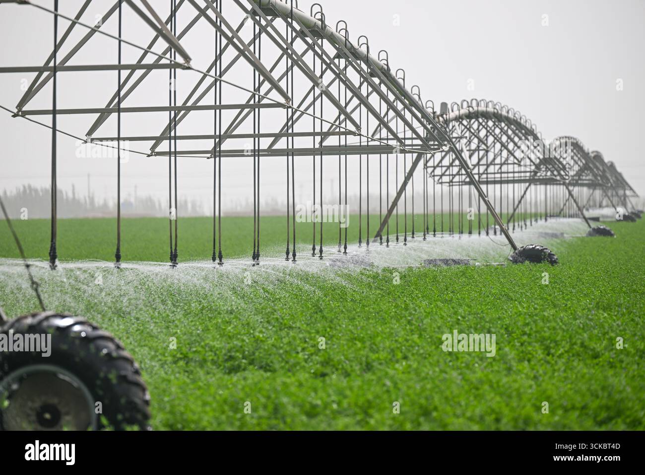 (250911) -- HOTAN, Sept. 11, 2025 (Xinhua) -- A center-pivot irrigation ...