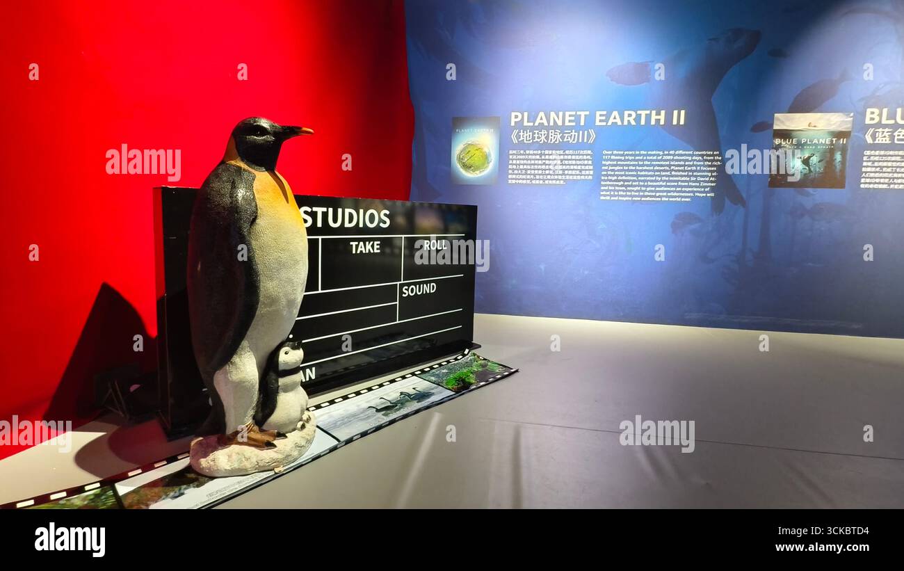 SHANGHAI, CHINA - SEPTEMBER 10, 2025 - BBC EARTH: LIFE AT EXTREMES ...