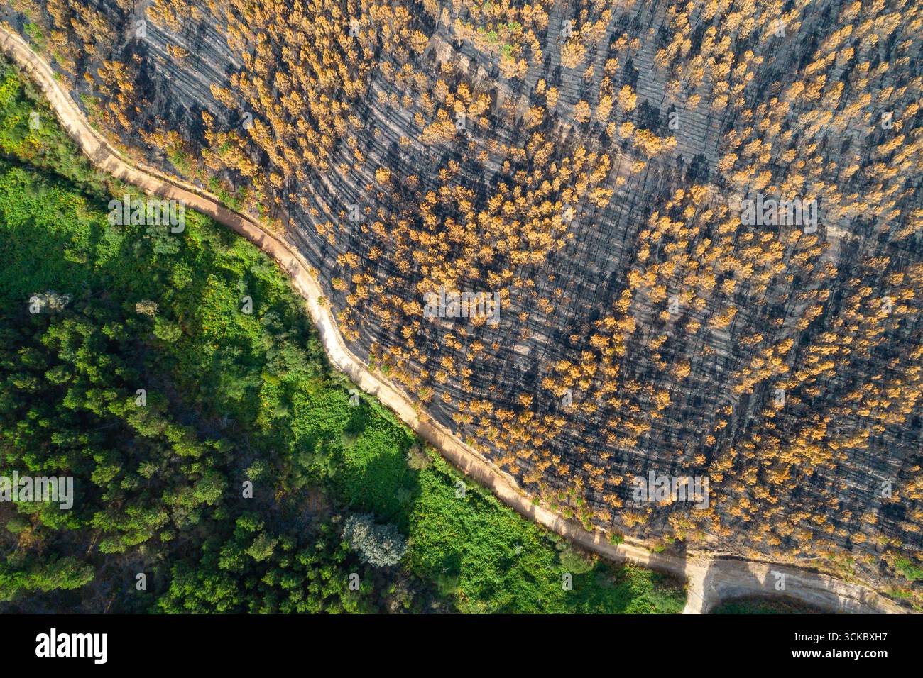 A shocking before and after visual of a wildfire's impact Environmental ...