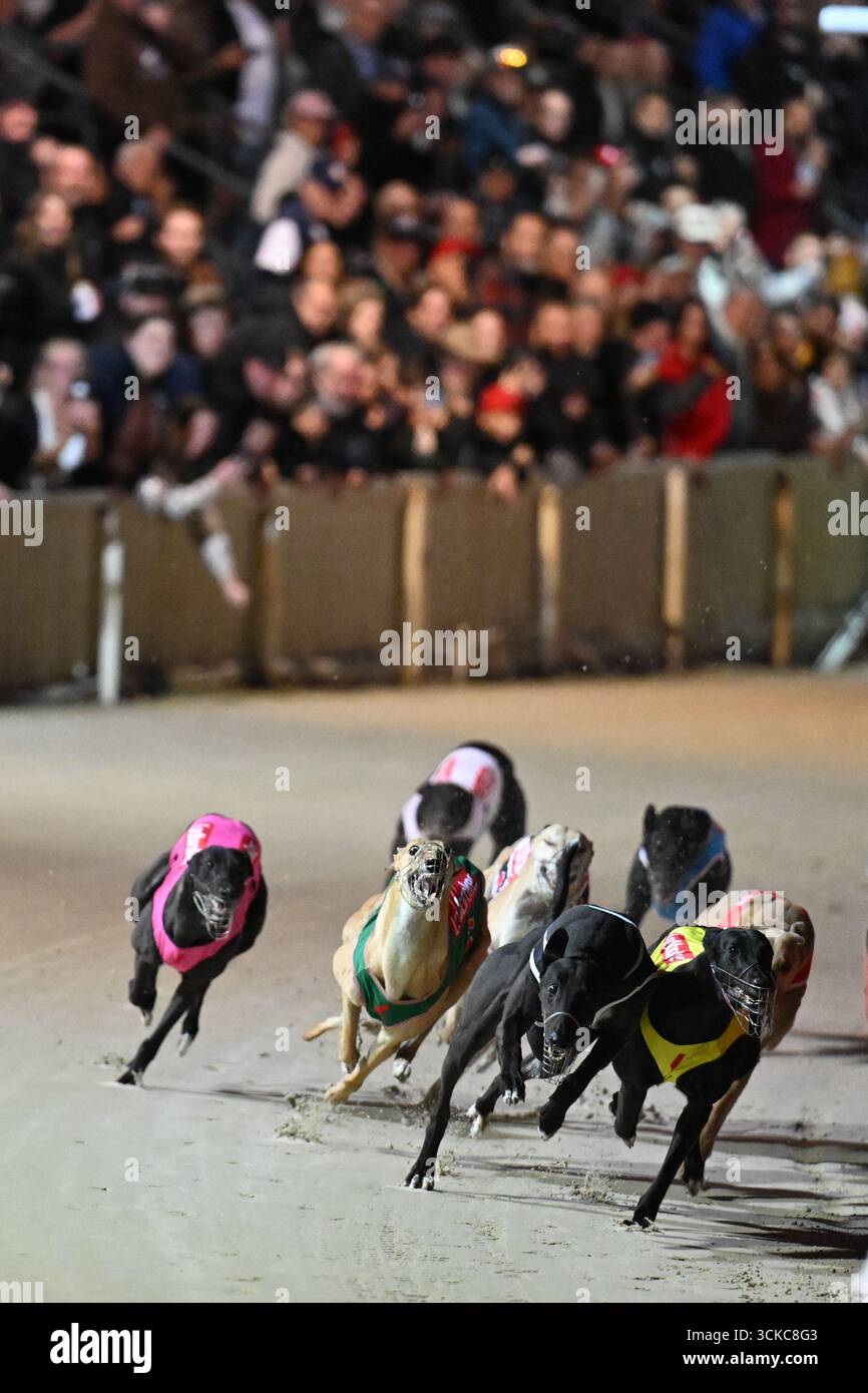 Huge crowds attend the iconic Dapto Greyhound Races also known as the ...