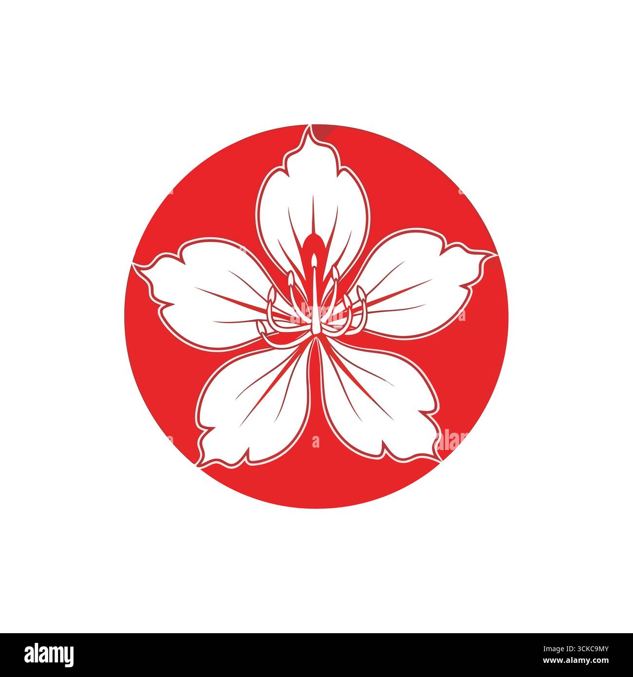 Symbol flower bauhinia hong kong Stock Vector Images - Alamy