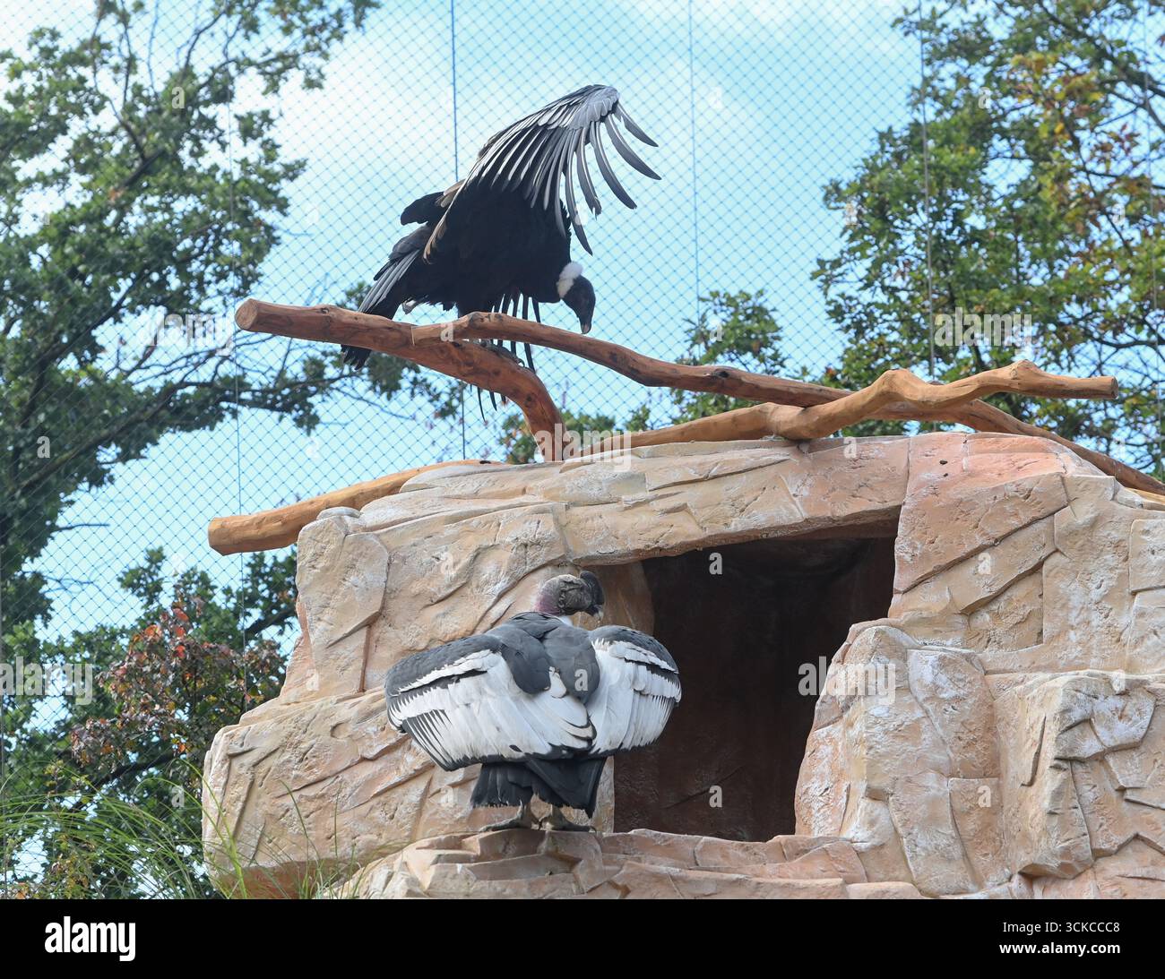 Olomouc, Czech Republic. 11th Sep, 2025. The Olomouc Zoo placed an ...