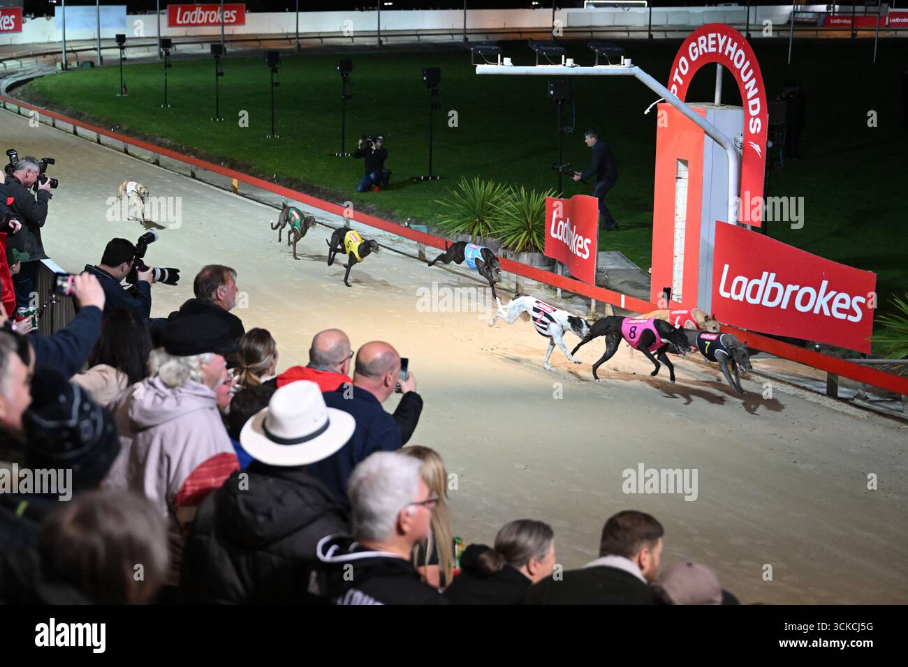 Eriza Sparkles wins the Daoto Megastar Final in front of a huge crowd ...