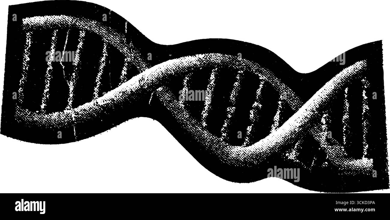 Halftone dna strand in vintage engraving style for scientific design ...