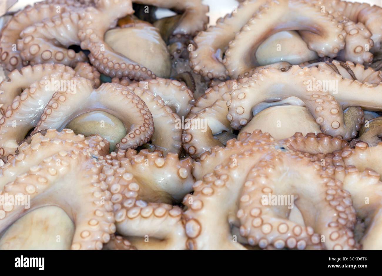 Fresh octopuses on market hi-res stock photography and images - Alamy