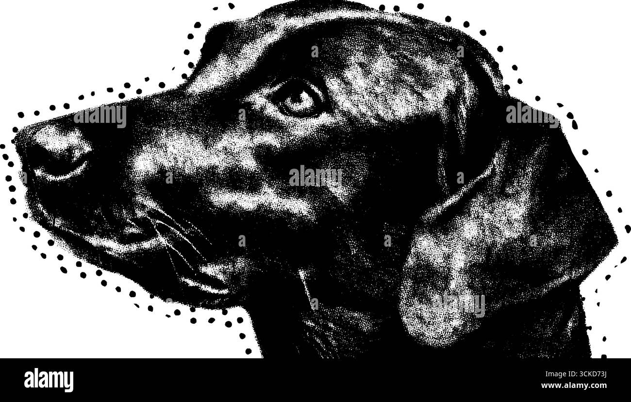 Halftone dog head in comic engraved style for creative design Stock ...