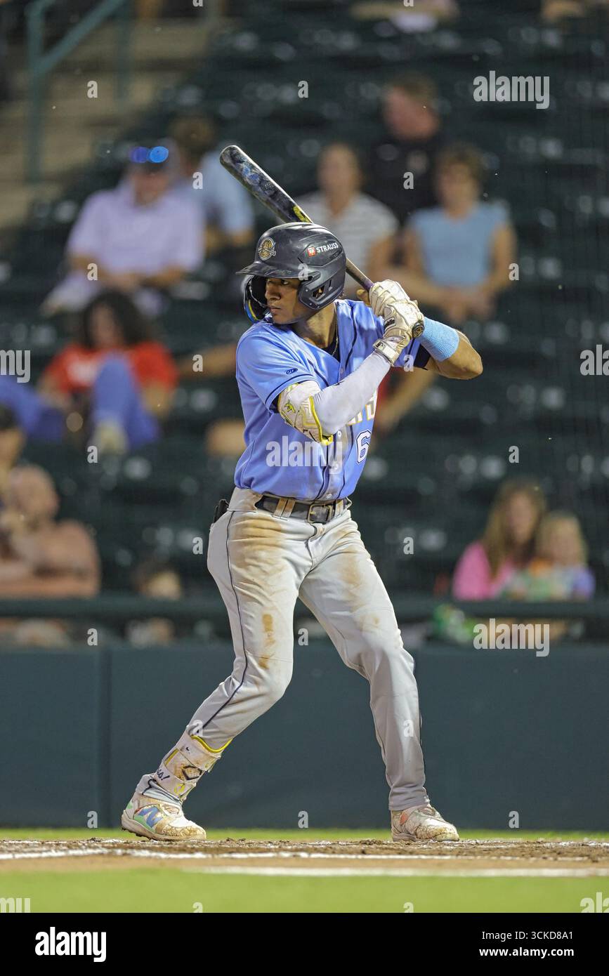 Hickory, NC: Charleston RiverDogs third base Narciso Polanco (6 ...