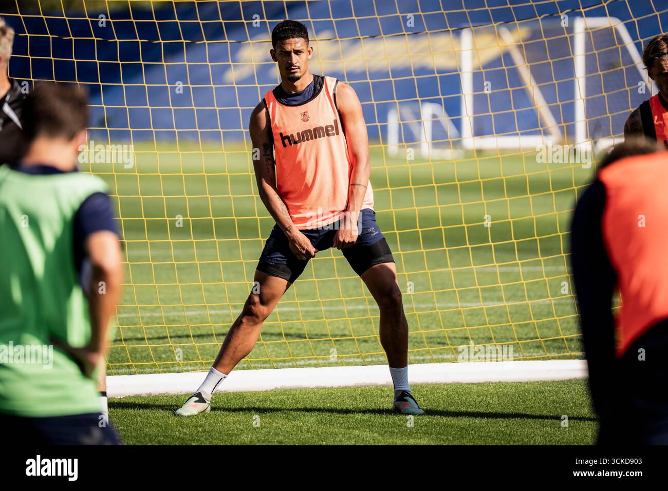 Frederik Alves from the Superliga club Broendby IF trains with new ...