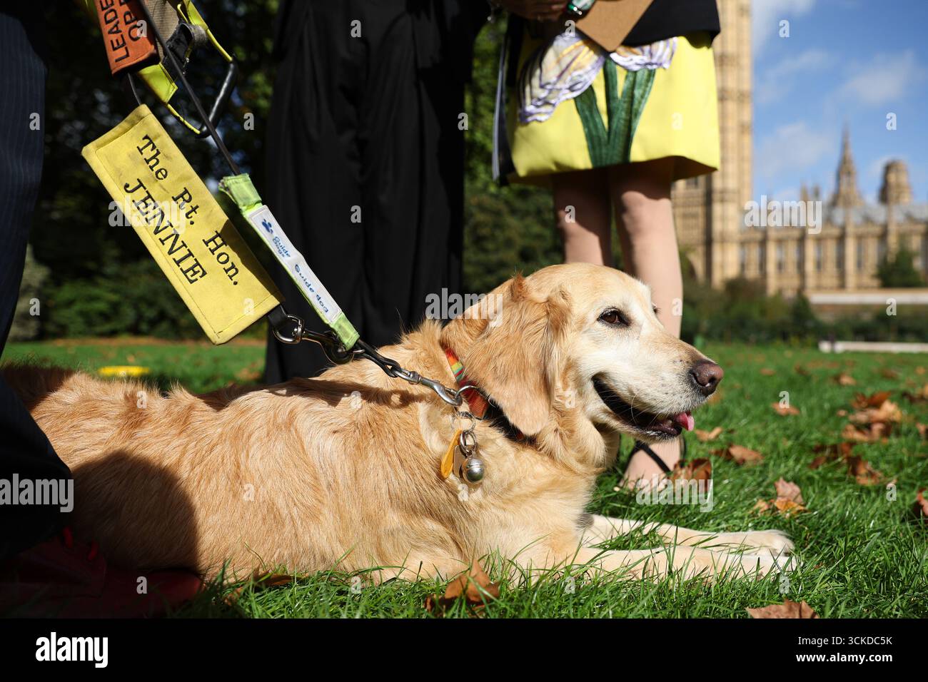 EDITORIAL USE ONLY Jennie, Labrador Retriever lays down beside Liberal ...