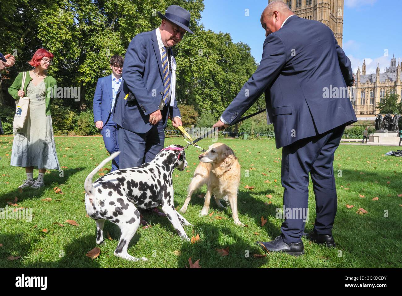 London, UK, 11th Sep 2025. Steve Darling's Jennie and David Burton ...