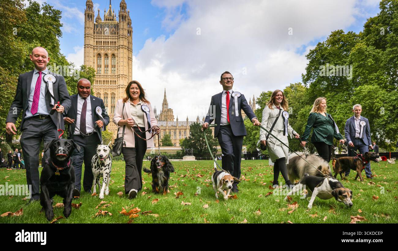 London, UK. 11th Sep, 2025. The MP's parade their lovely dogs together ...