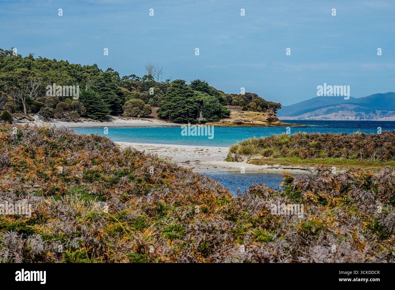 Scenic Wilderness Landscape on Maria Island Tasmania Stock Photo - Alamy