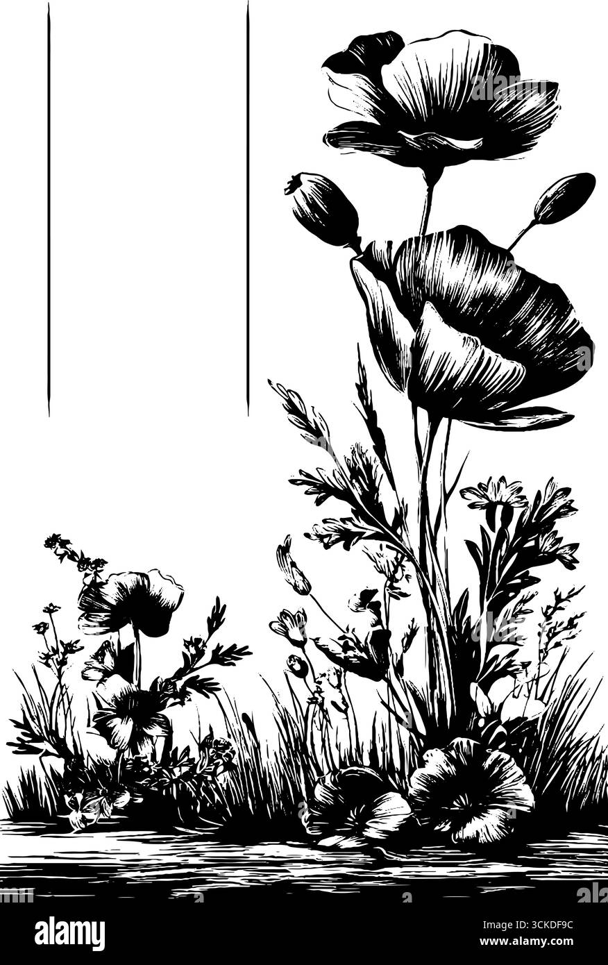 Engraved field flora Black and White Stock Photos & Images - Alamy